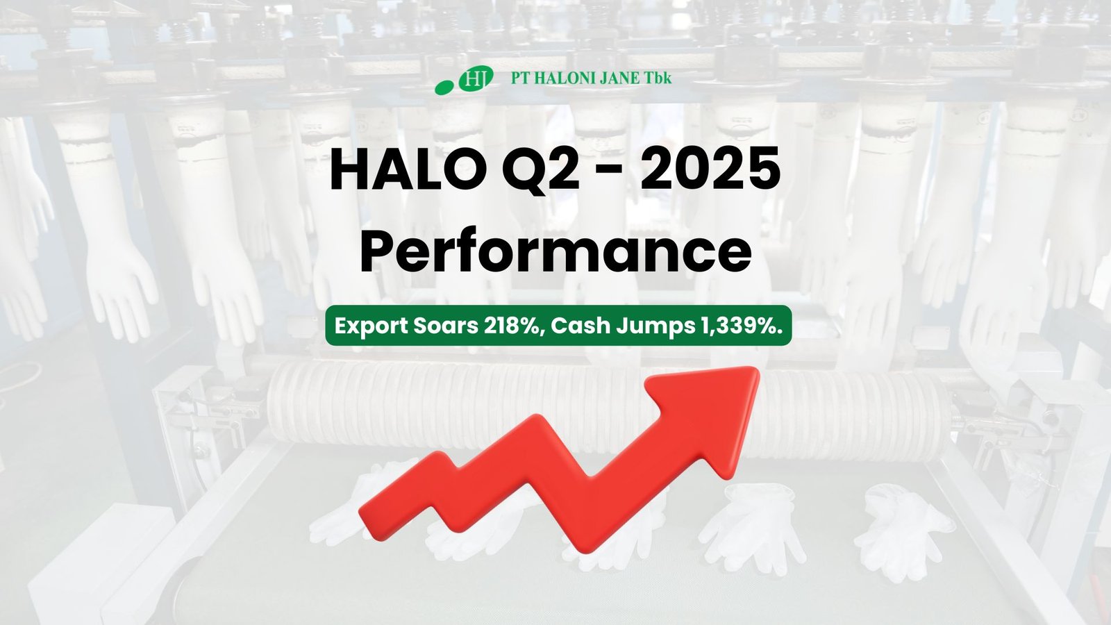HALO Q2 2025 Performance: Export Soars 218%, Cash 1,339%